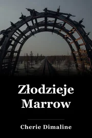 Złodzieje Marrow book cover