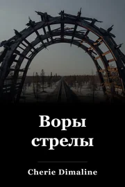 Воры стрелы book cover