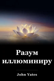 Разум иллюминируется book cover