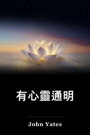 有心靈通明 book cover