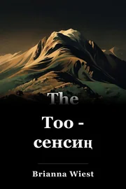 Тоо - сенсиң book cover