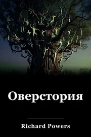 Оверстория book cover