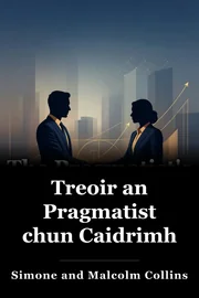 Treoir an Pragmatist chun Caidrimh book cover