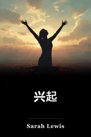 兴起 book cover