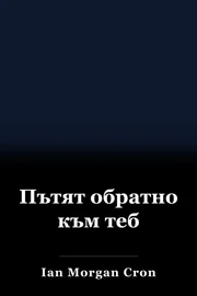 Пътят обратно към теб book cover