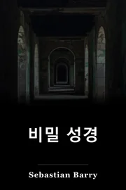 비밀 성경 book cover