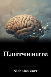 Плитчините book cover
