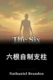 六根自制支柱 book cover