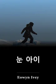 눈 아이 book cover