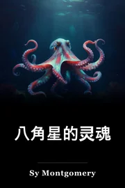 八角星的灵魂 book cover