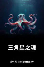 三角星之魂 book cover