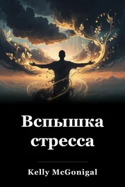 Вспышка стресса book cover
