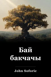 Бай бакчачы book cover