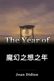 魔幻之想之年 book cover