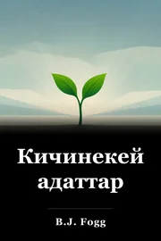 Кичинекей адаттар book cover