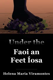 Faoi an Feet Íosa book cover