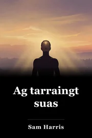 Ag tarraingt suas book cover
