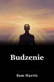 Budzenie book cover