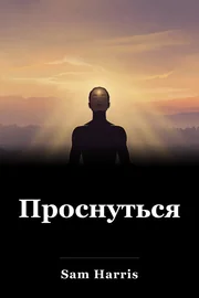 Проснуться book cover