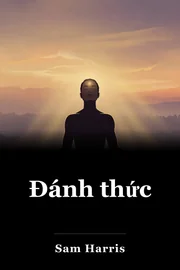 Đánh thức book cover