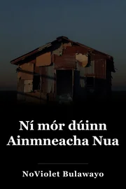 Ní mór dúinn Ainmneacha Nua book cover