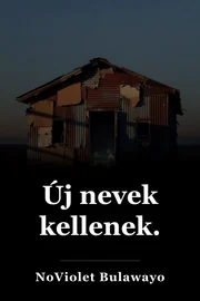 Új nevek kellenek. book cover