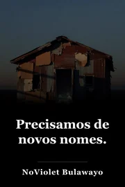 Precisamos de novos nomes. book cover
