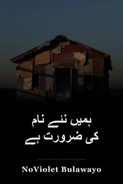 ہمیں نئے نام کی ضرورت ہے book cover