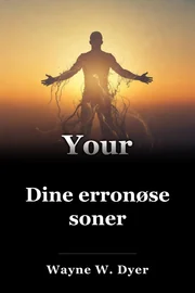 Dine erronøse soner book cover