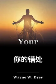 你的错处 book cover