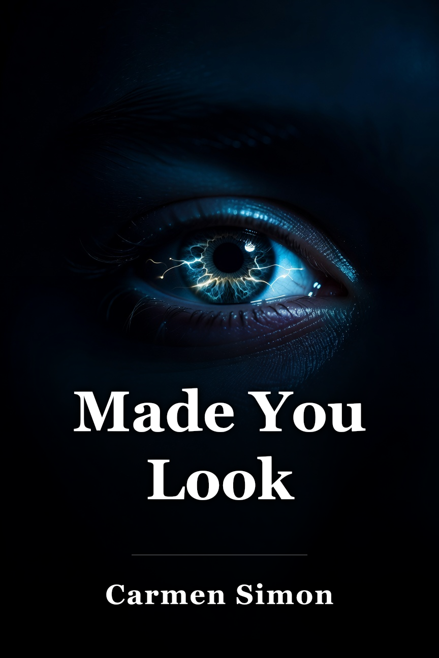 Made You Look book cover