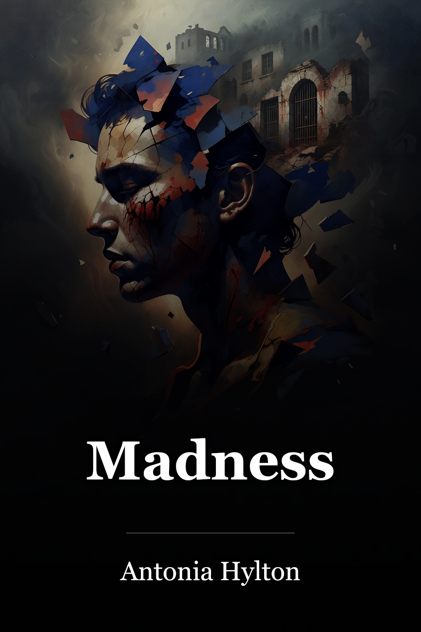 Madness book cover