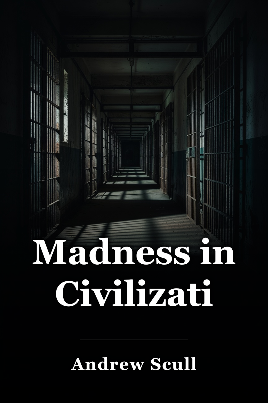 Madness in Civilization book cover
