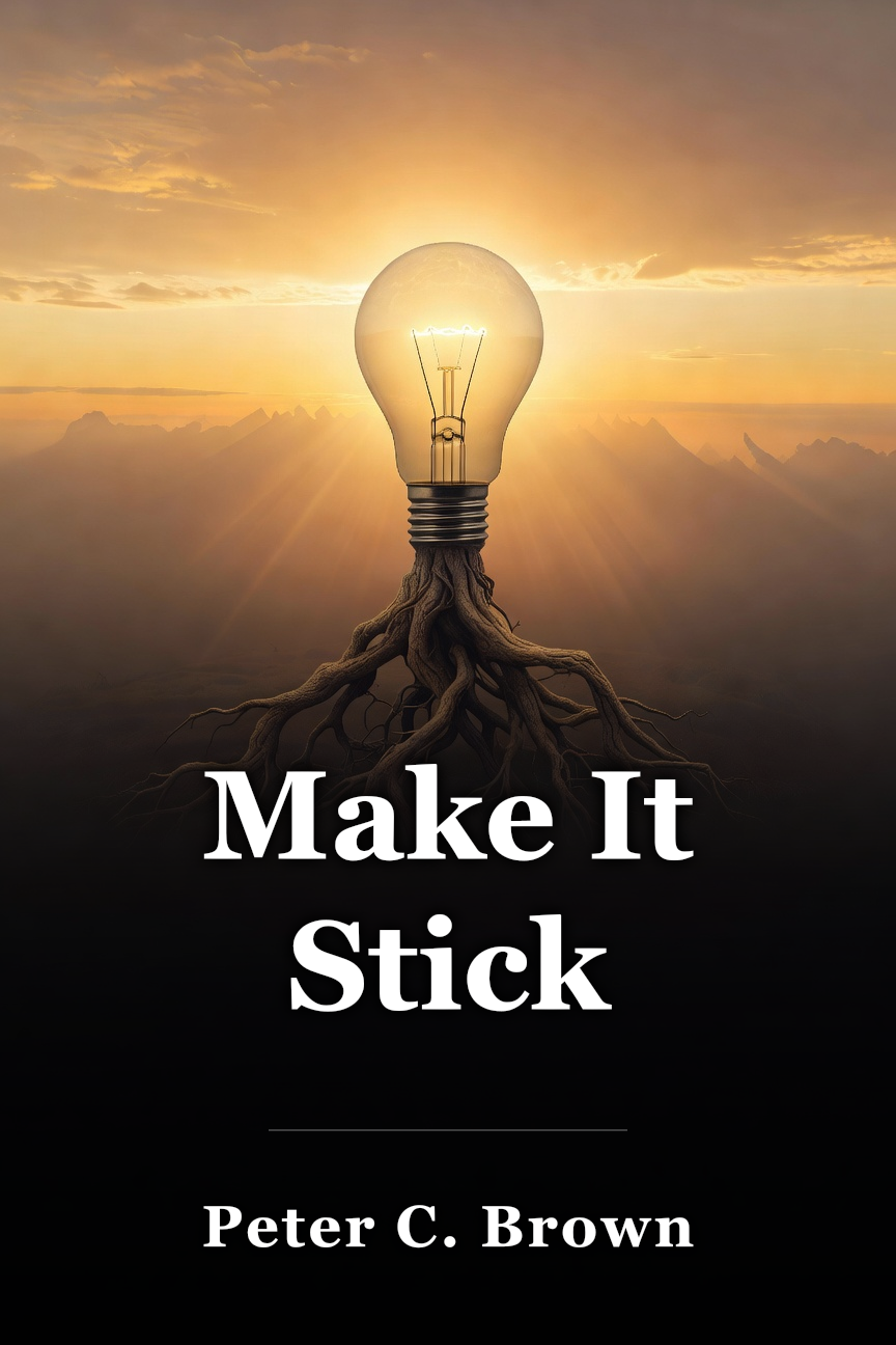 Make It Stick book cover