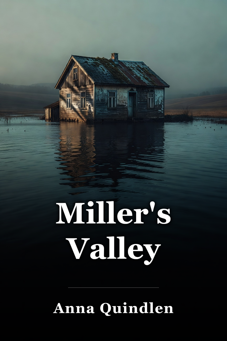 Miller's Valley book cover