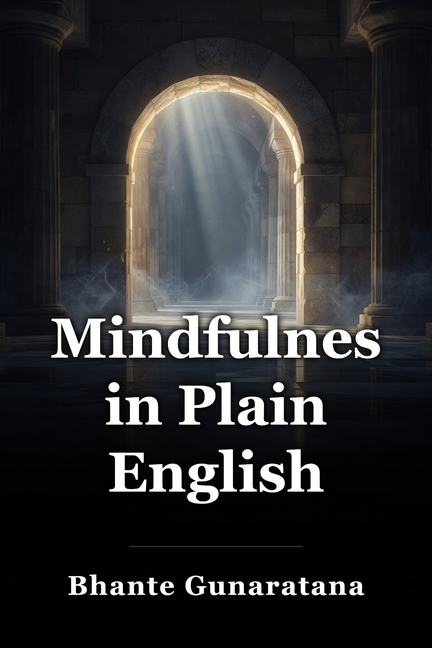 Mindfulness in Plain English book cover