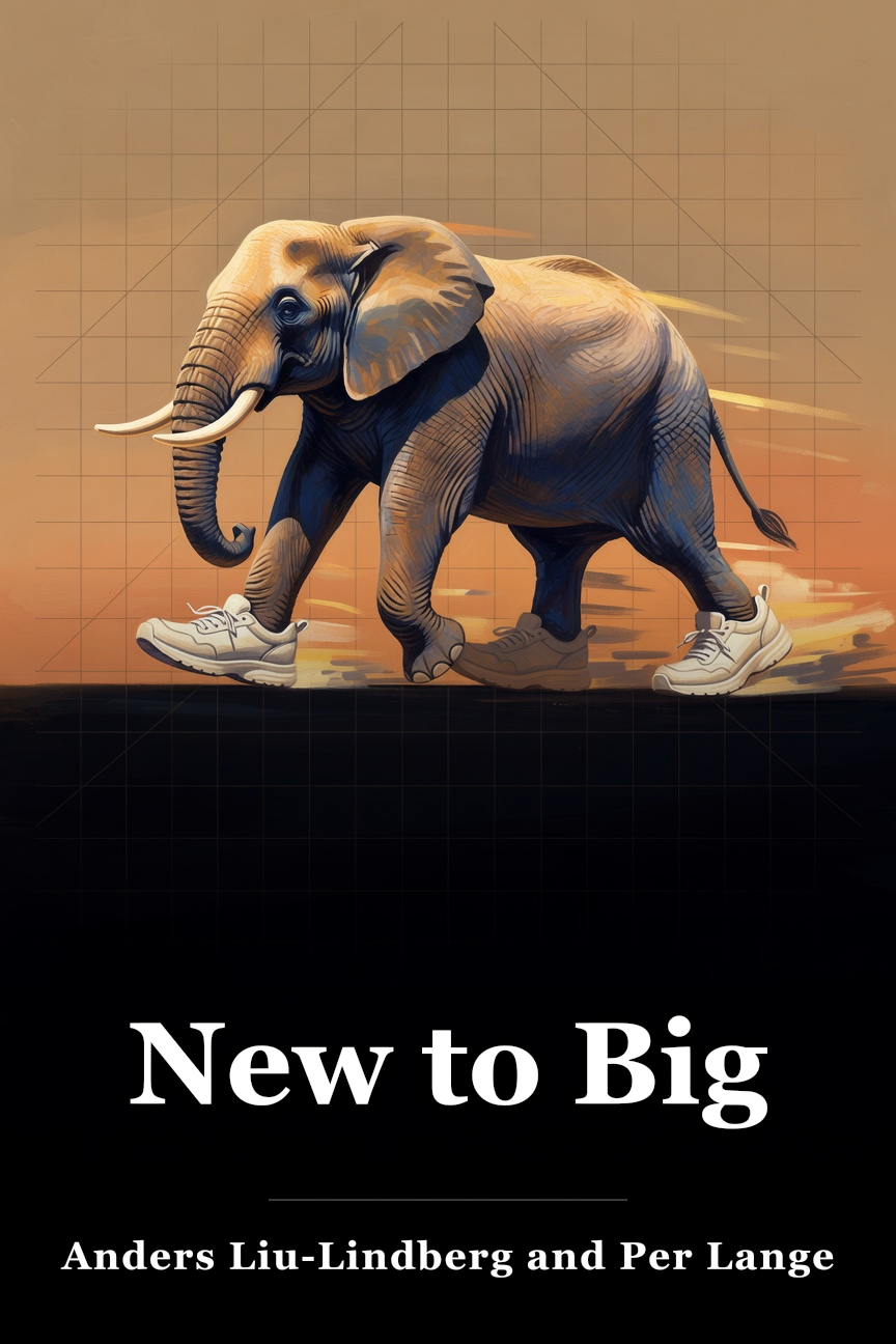 New to Big book cover