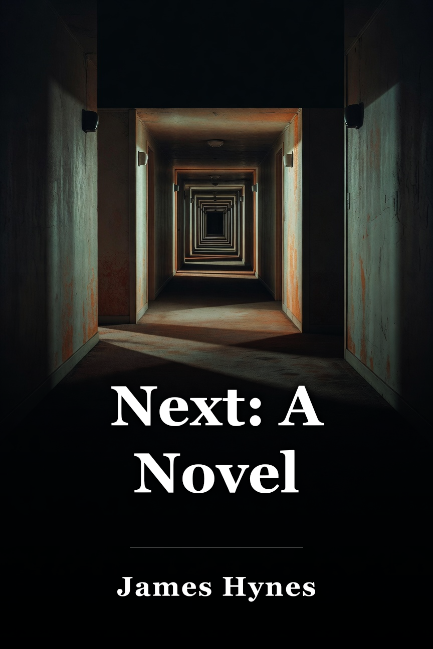 Next: A Novel book cover