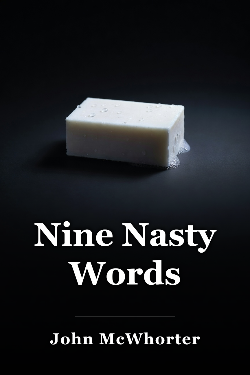 Nine Nasty Words book cover