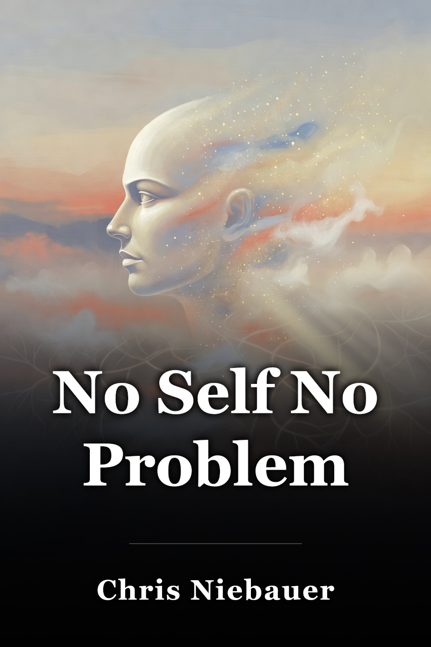 No Self No Problem book cover