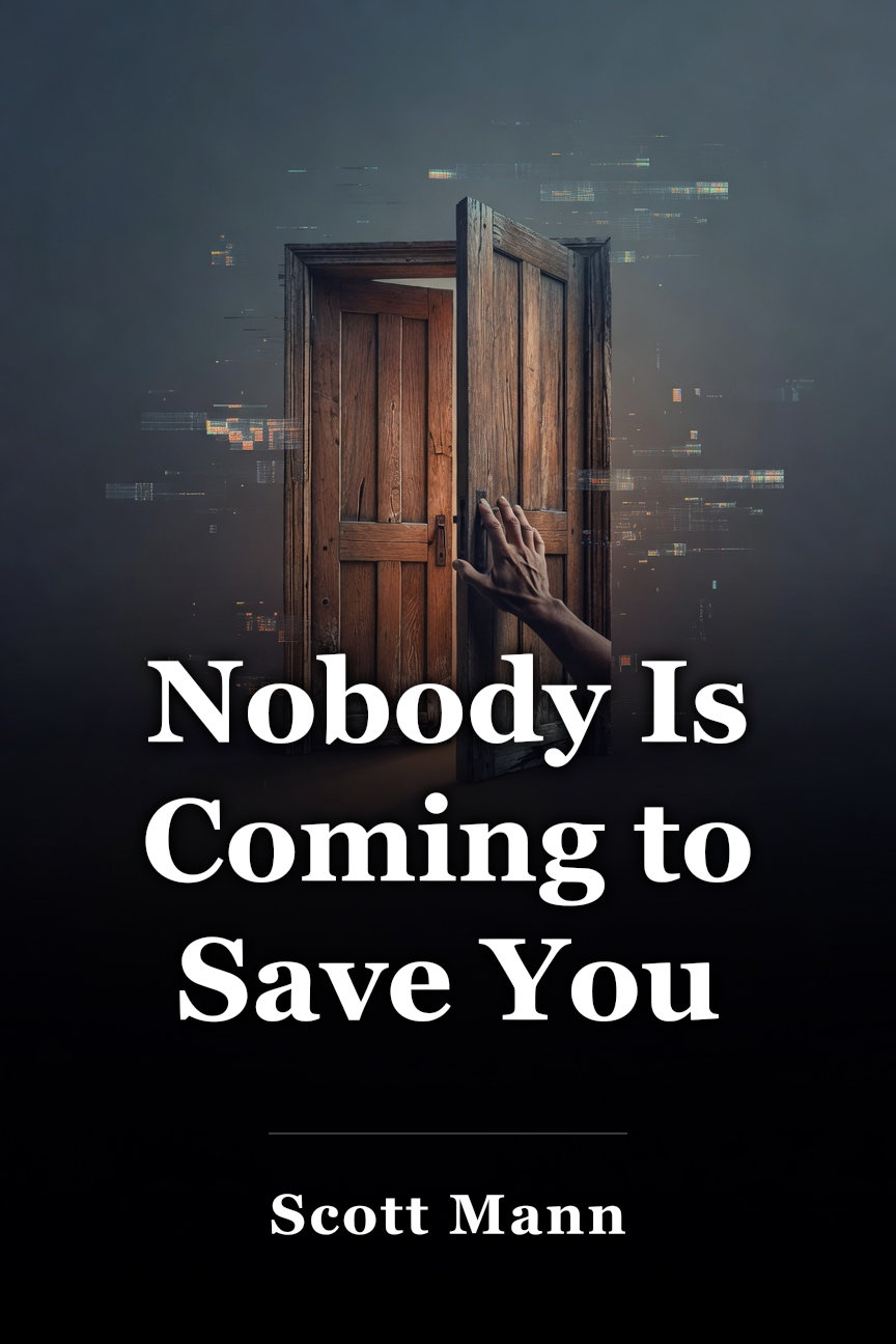 Nobody Is Coming to Save You book cover