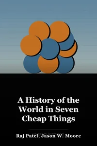 A History of the World in Seven Cheap Things book cover