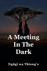 A Meeting In The Dark
