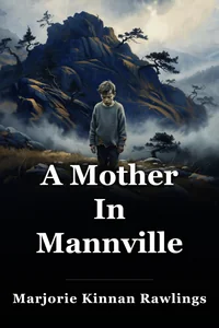 A Mother In Mannville book cover