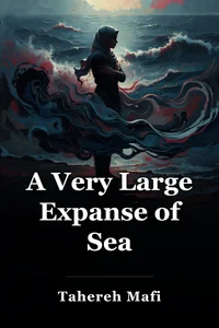 A Very Large Expanse of Sea book cover