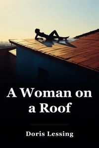 A Woman on a Roof book cover