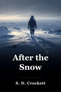 After the Snow book cover
