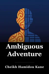 Ambiguous Adventure book cover