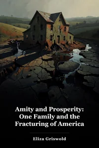 Amity and Prosperity: One Family and the Fracturing of America book cover