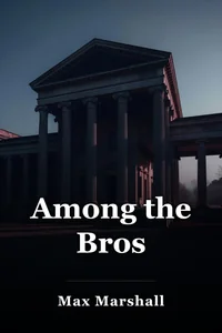 Among the Bros book cover